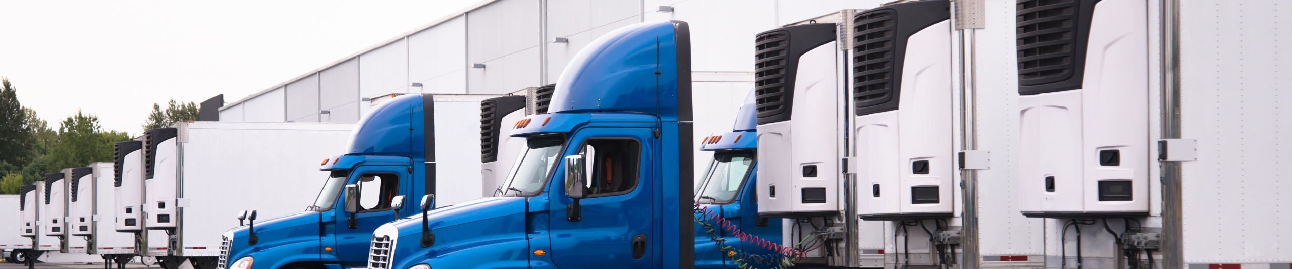 Maximising Loading Bay Capacity and the Benefits that Follow - Sentric ...