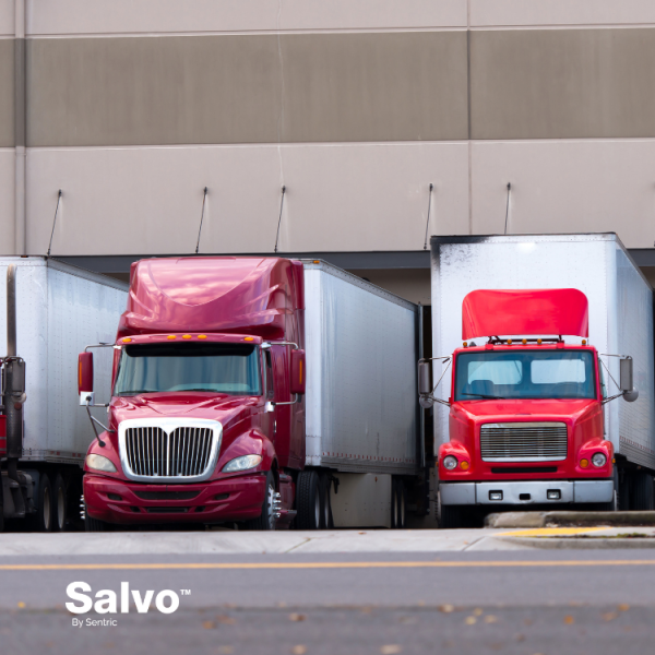 Loading Dock Safety Solutions - Sentric Safety Group US