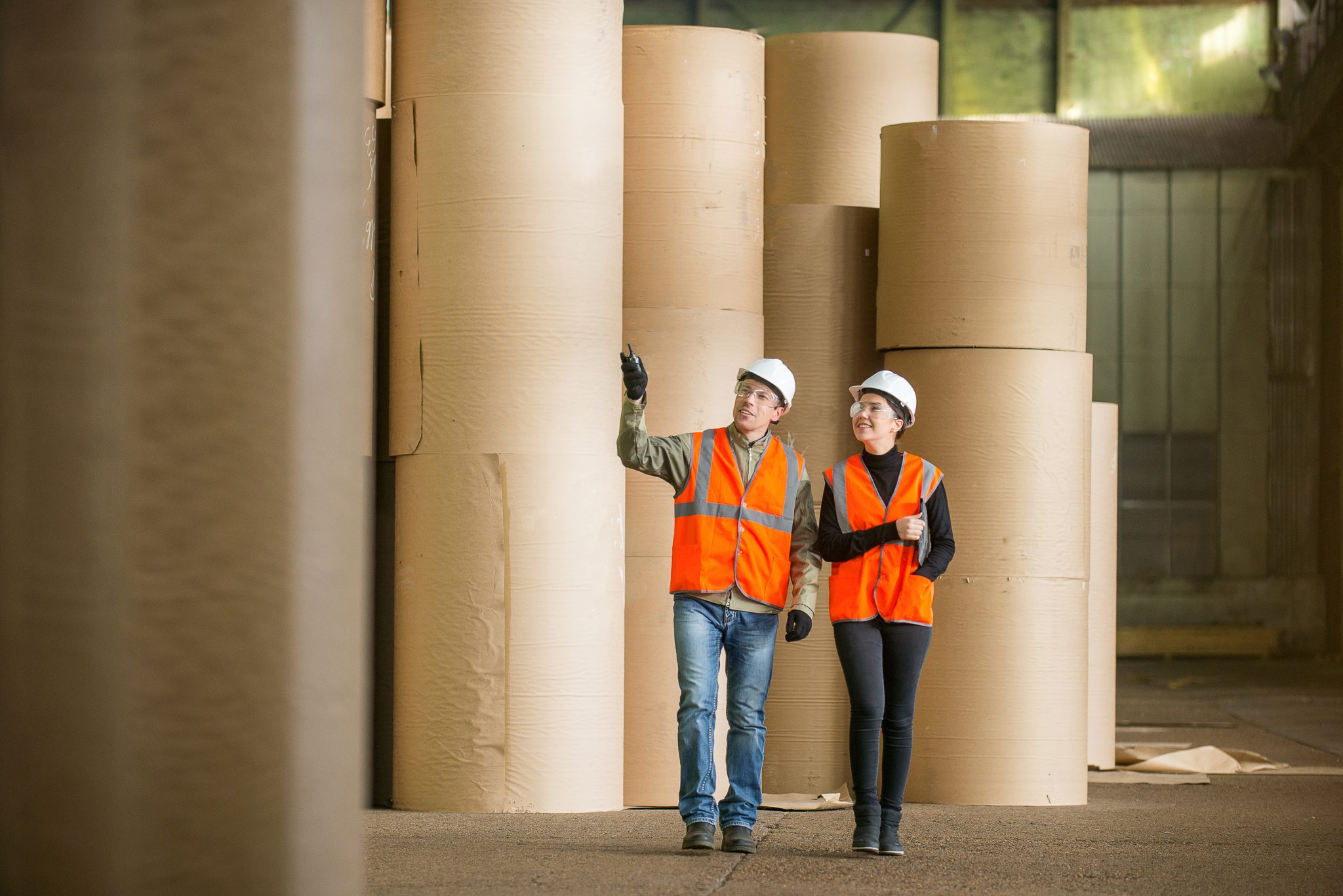 Pulp & Paper - Sentric Safety Group Global